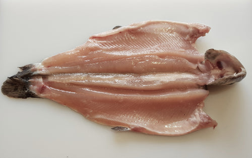 Home – Entre Ríos